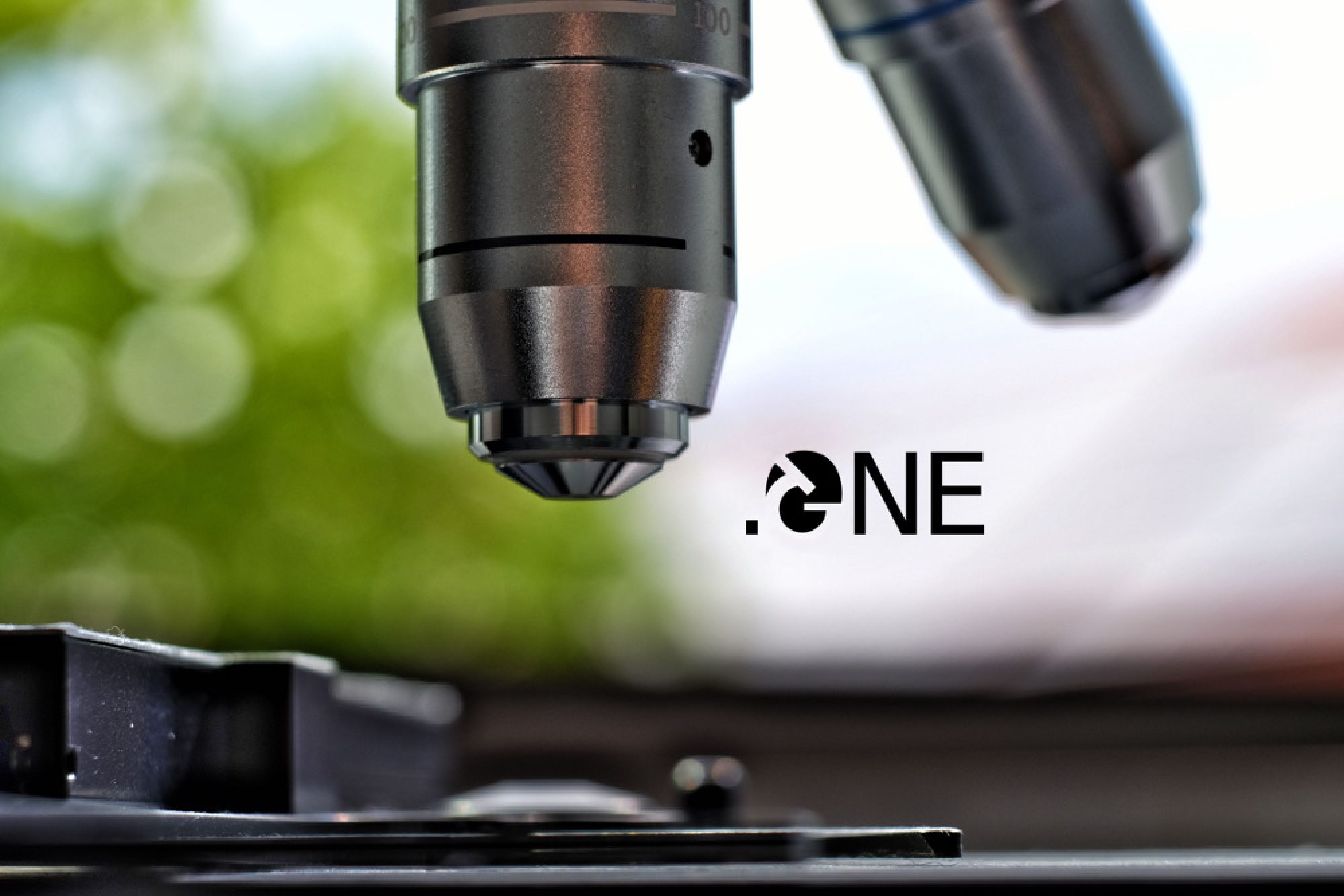 Microscopy.One – teaching-related resources Microscopy.One – teaching-related resources